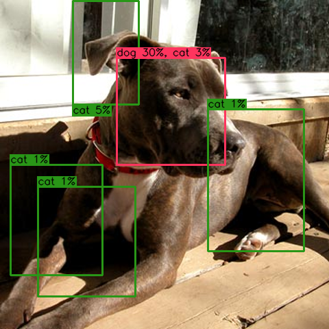 Programming Comments - YOLO Neural Network Training with Darknet