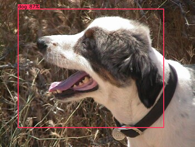 Programming Comments - YOLO Neural Network Training with Darknet